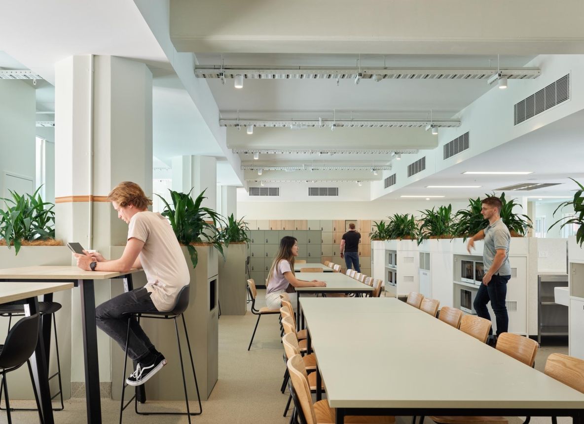 Lady Lamington - nettletontribe architects