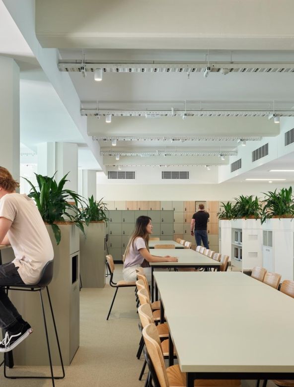 Lady Lamington - nettletontribe architects