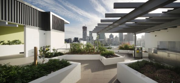 Common Ground - nettletontribe architects