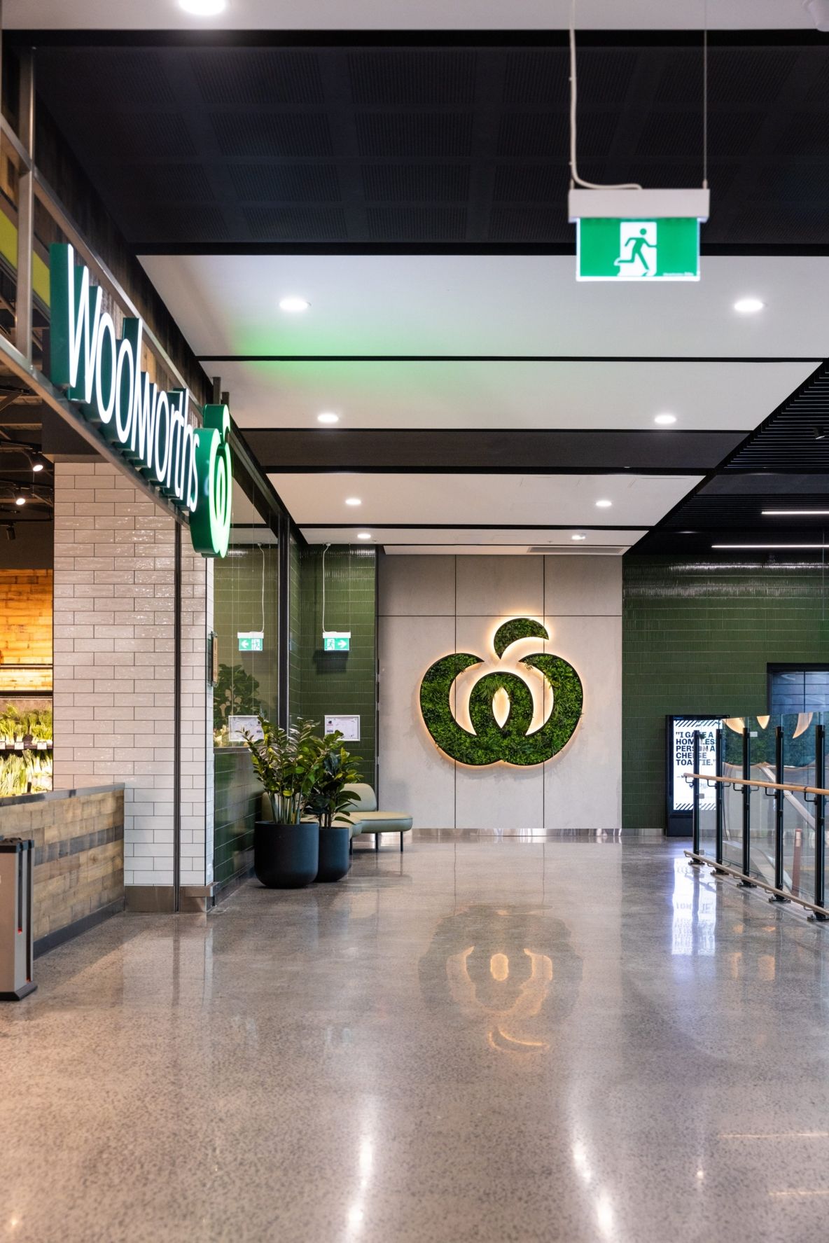 Woolworths Ashfield - nettletontribe architects